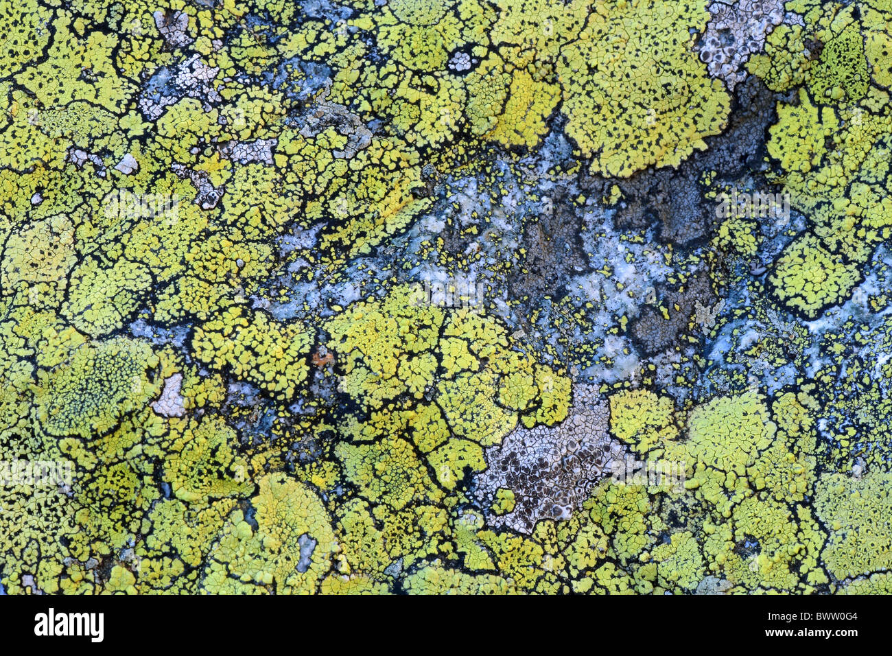 10846594 hi-res stock photography and images - Alamy