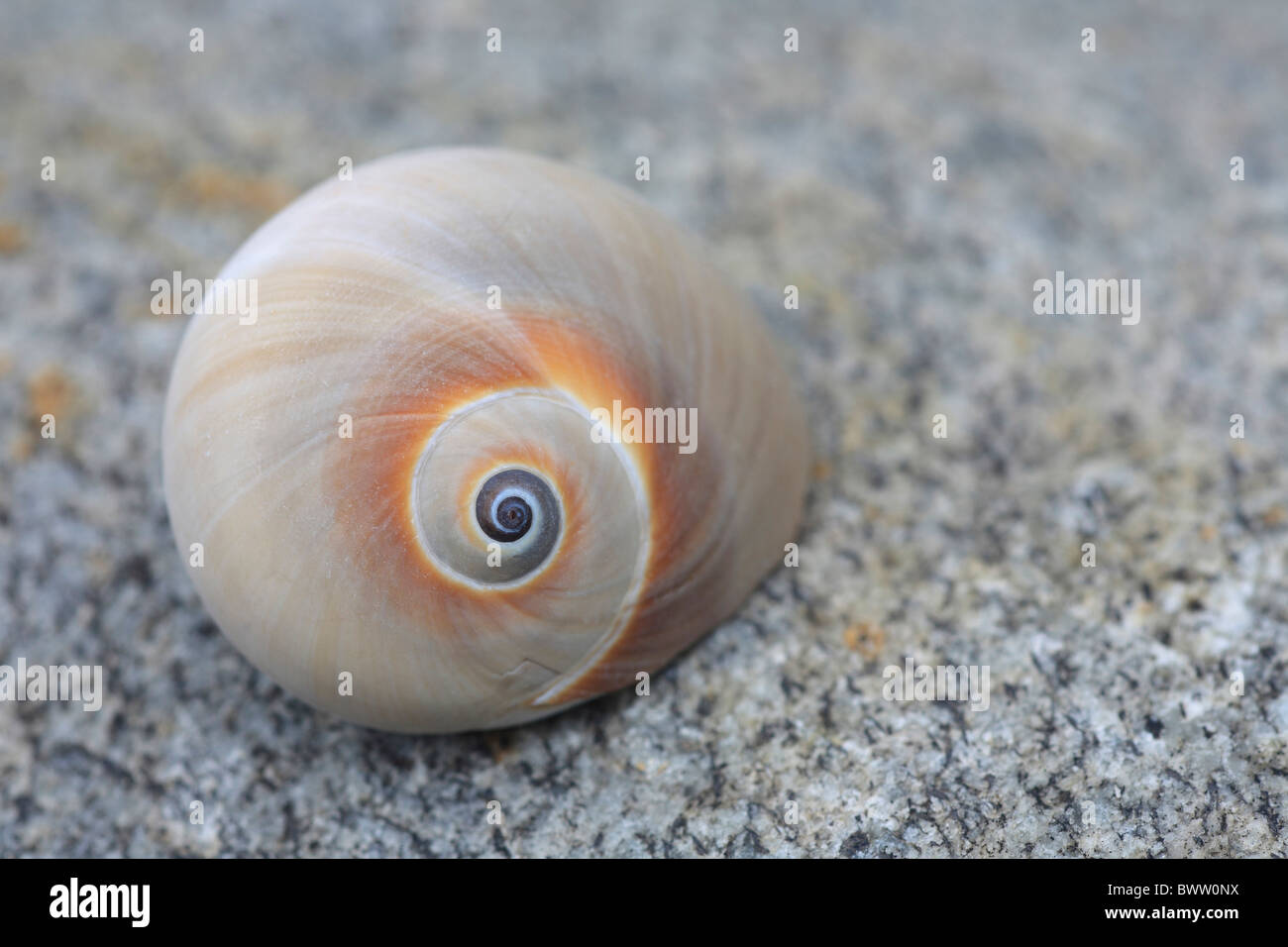 10846625 hi-res stock photography and images - Alamy