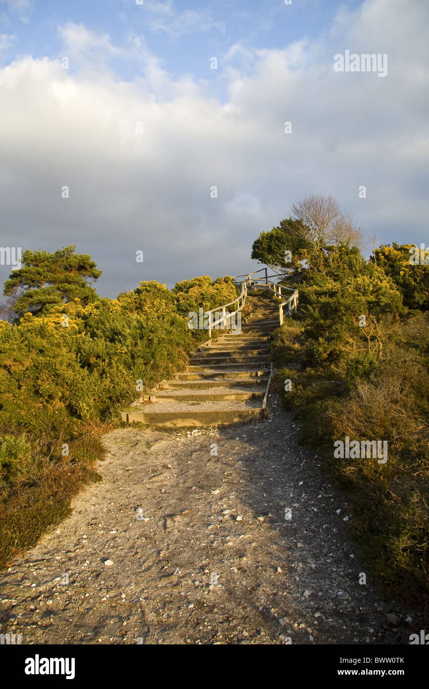 britain british england english footpath lead leading step steps winter ...