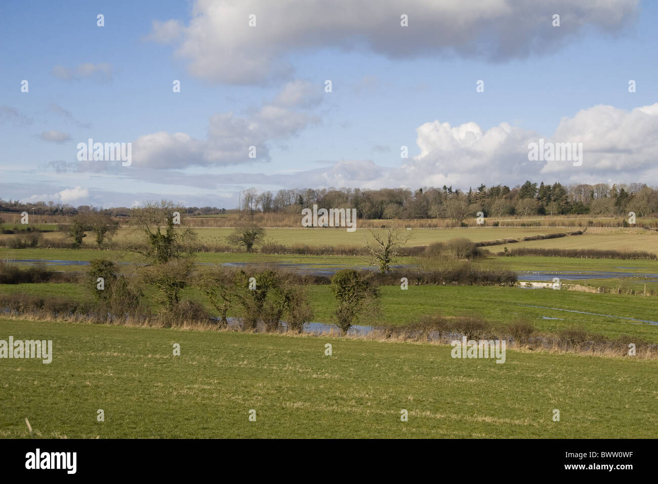 English watermeadows hi-res stock photography and images - Alamy