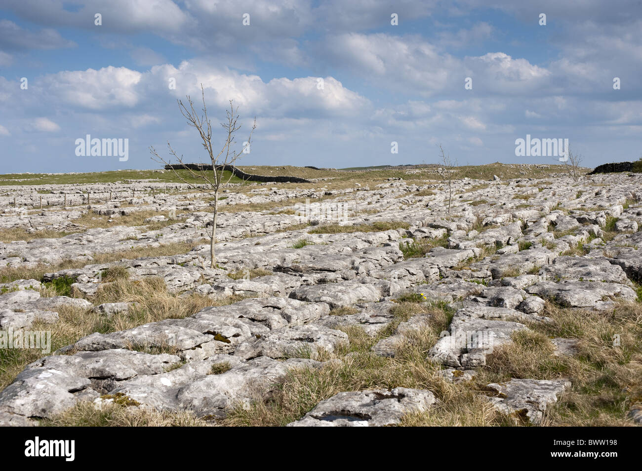 Dales Malham North Yorkshire geology limestone pavement britain british ...