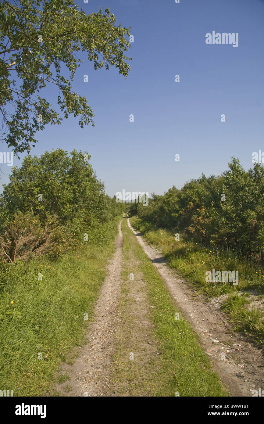 britain british england english spring track tracks path paths scenic ...