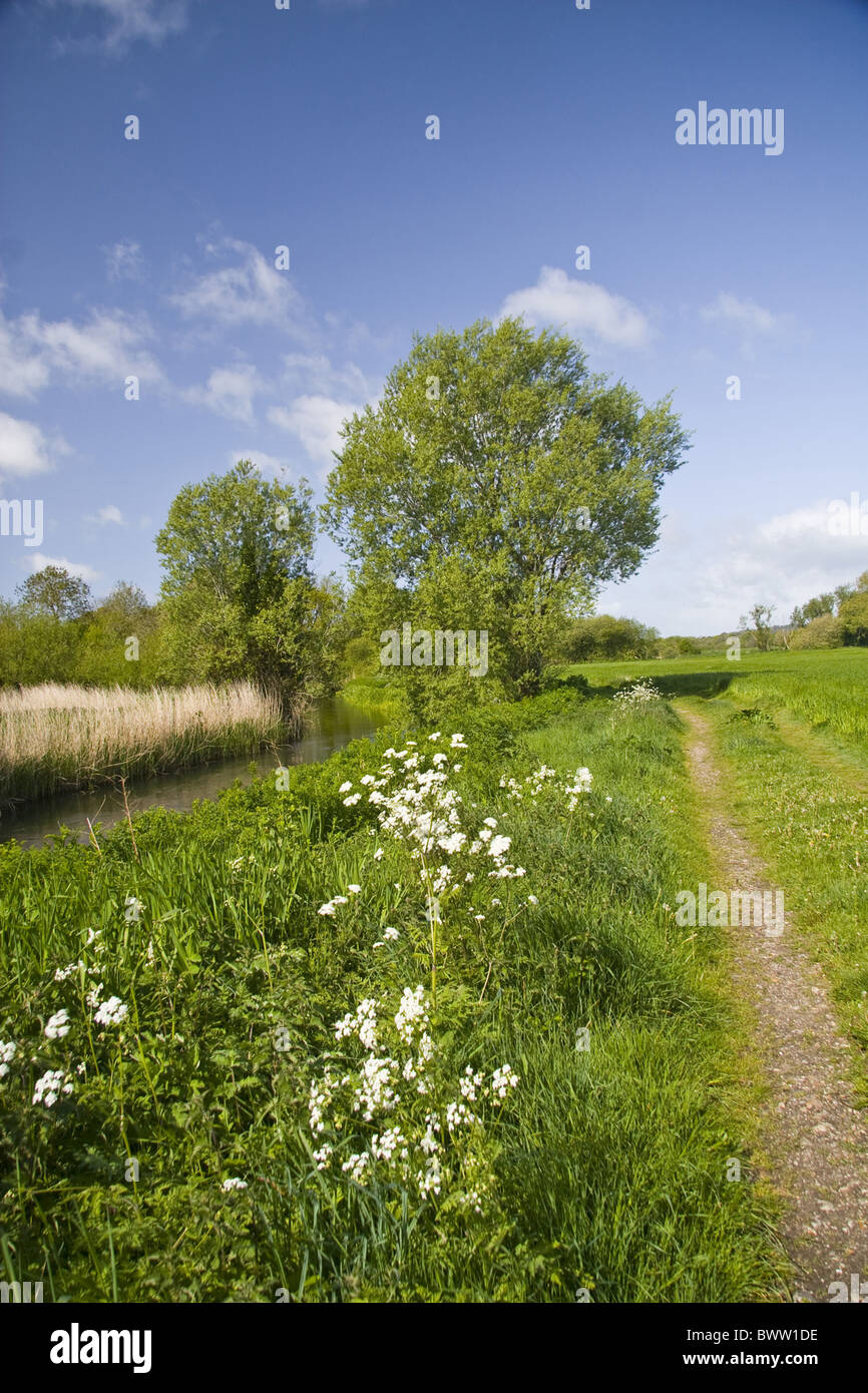britain british england english europe european habitat habitats ...