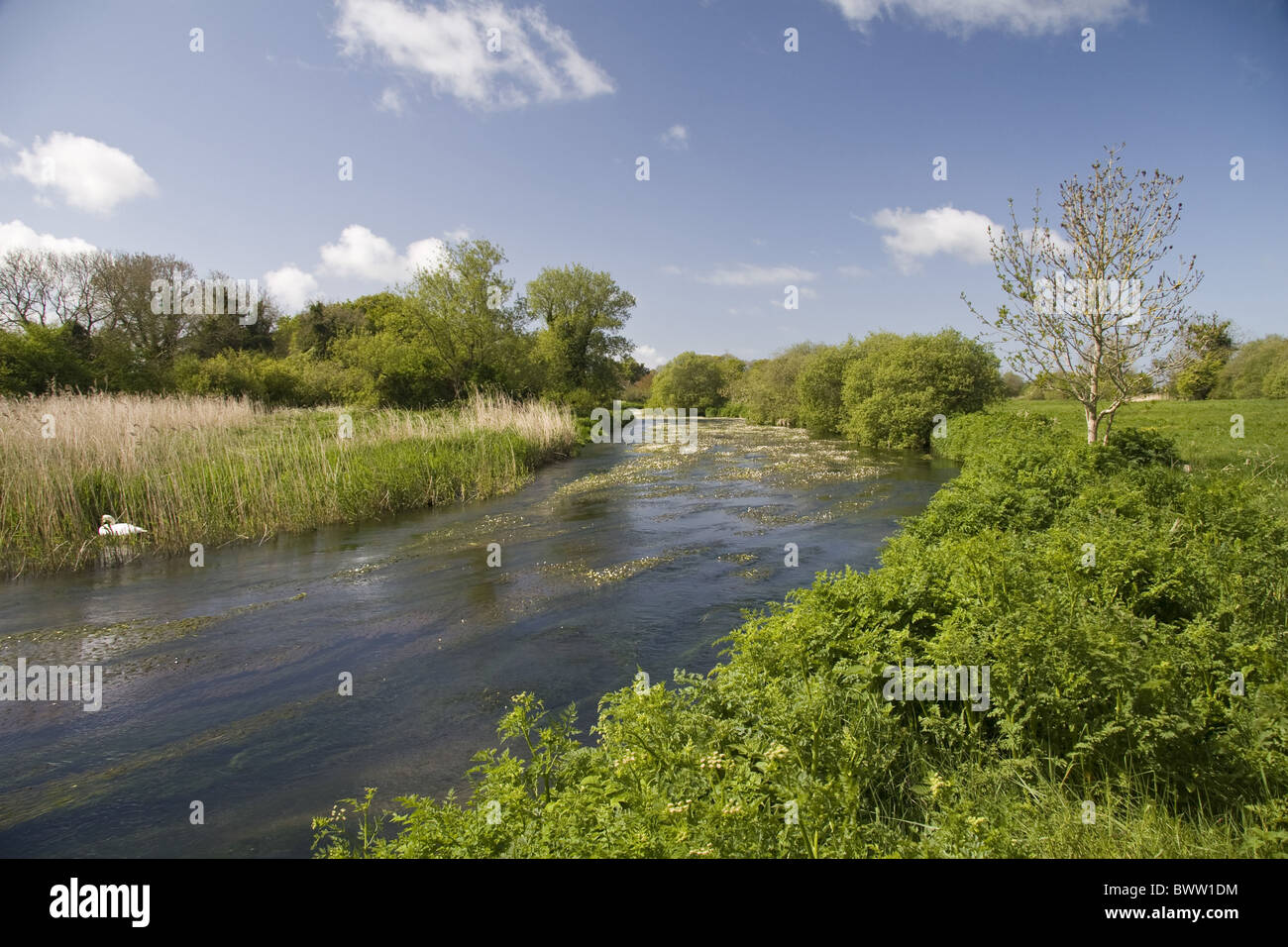 Stream waters hi-res stock photography and images - Alamy
