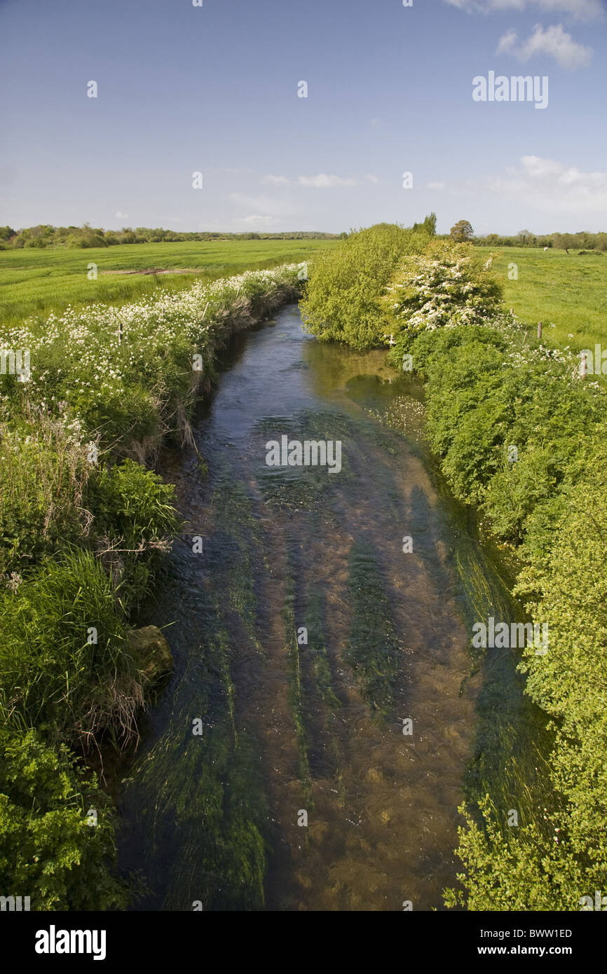 Chalk streams hi-res stock photography and images - Alamy