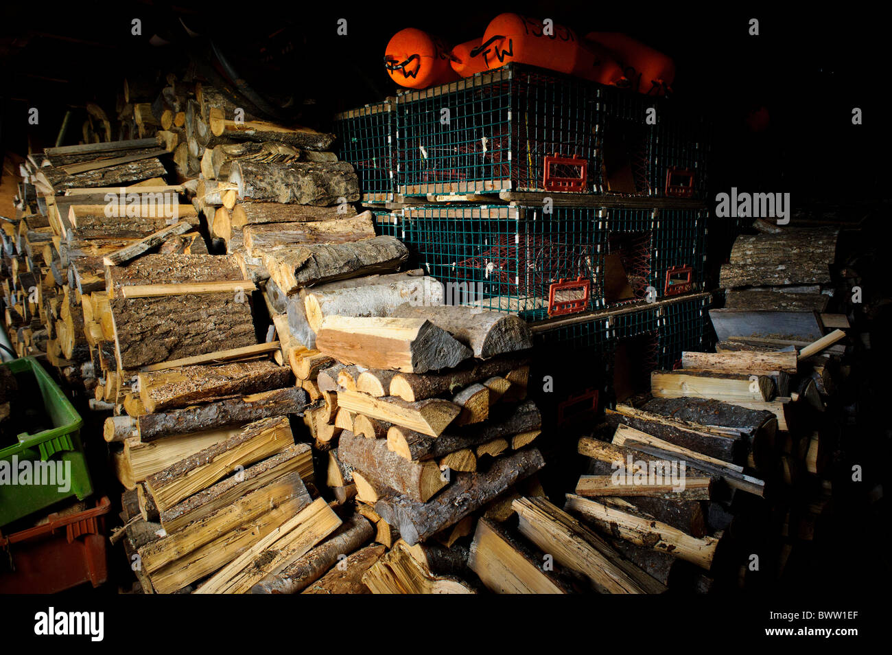 Winter wood pile all split and ready with lobster traps at Hardwicke ...