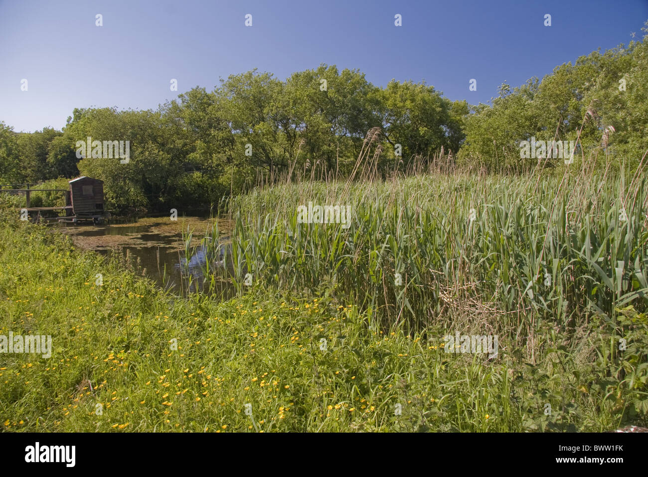 britain british england english europe european pond ponds pool pools ...