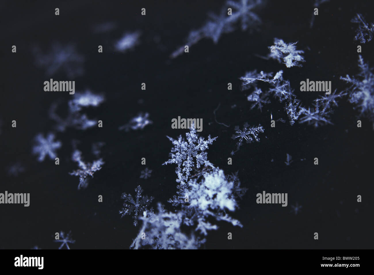 Star flake hi-res stock photography and images - Alamy