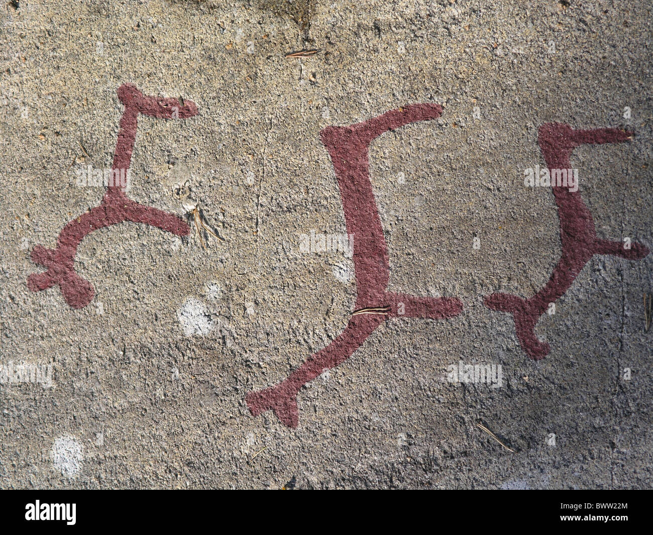 Sweden Europe Tanum municipality Bronze age UNESCO World heritage site ...