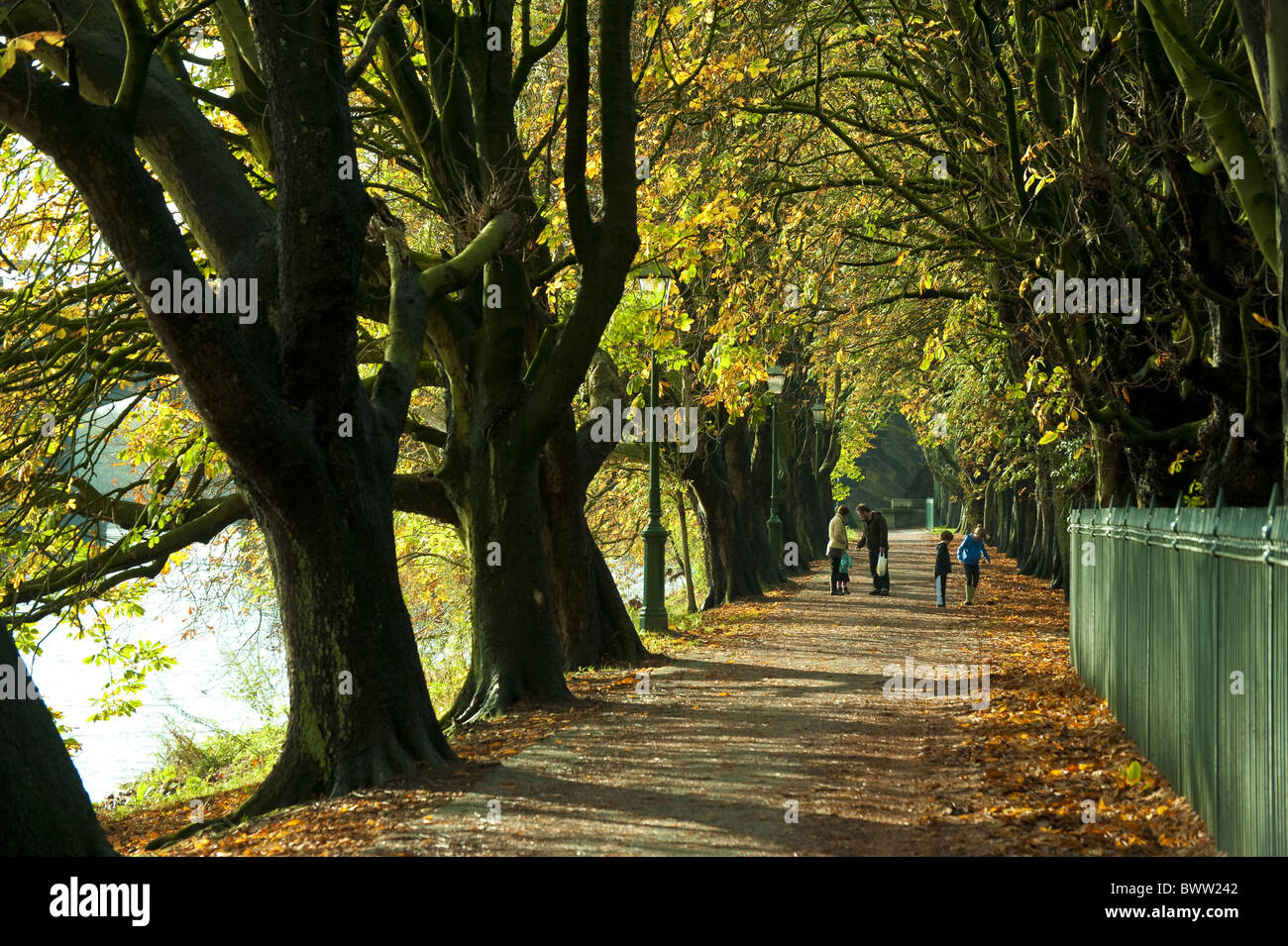 Preston lancashire avenham park hi-res stock photography and images - Alamy