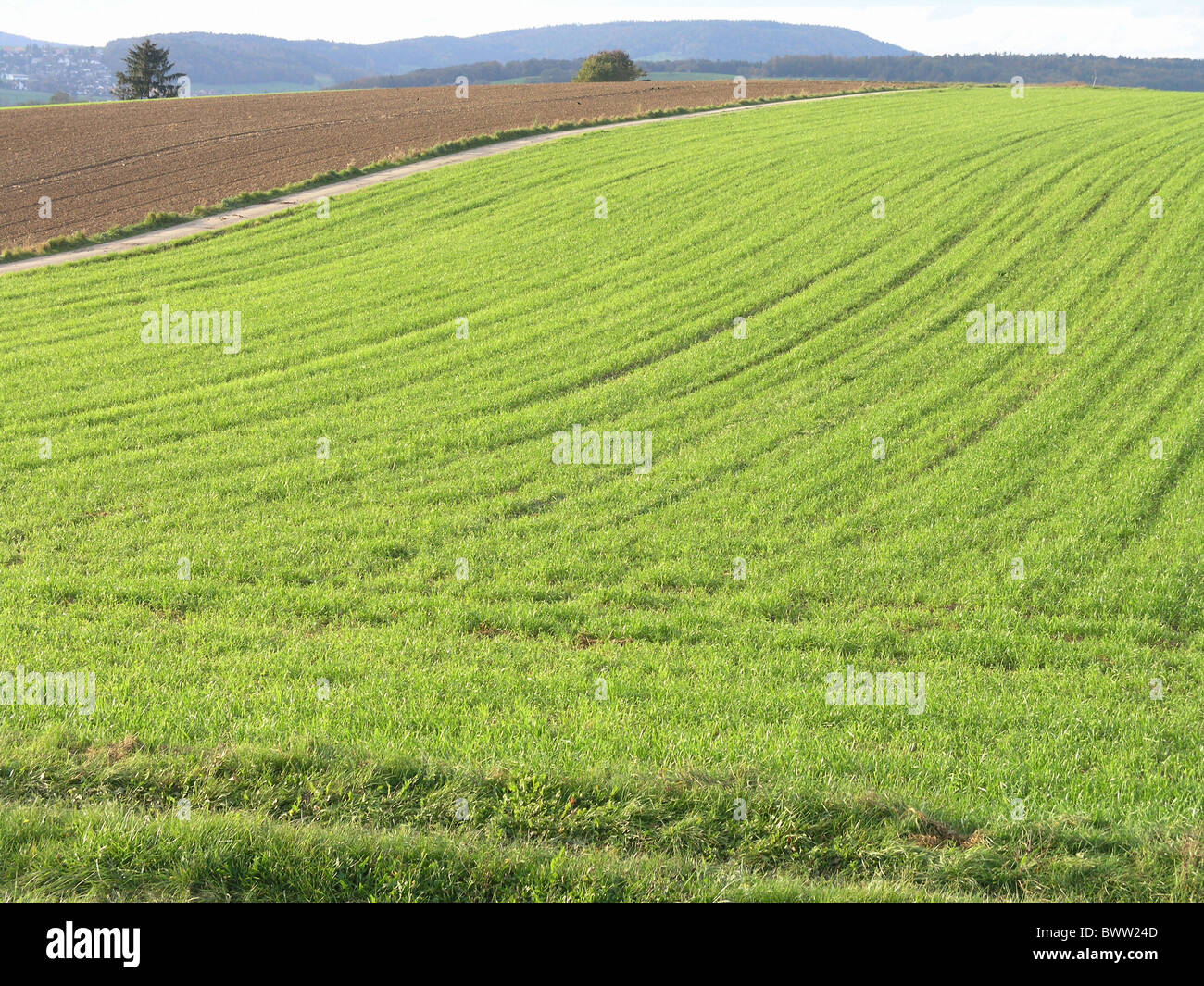 Switzerland Europe Canton Zurich agriculture farming rural green meadow ...