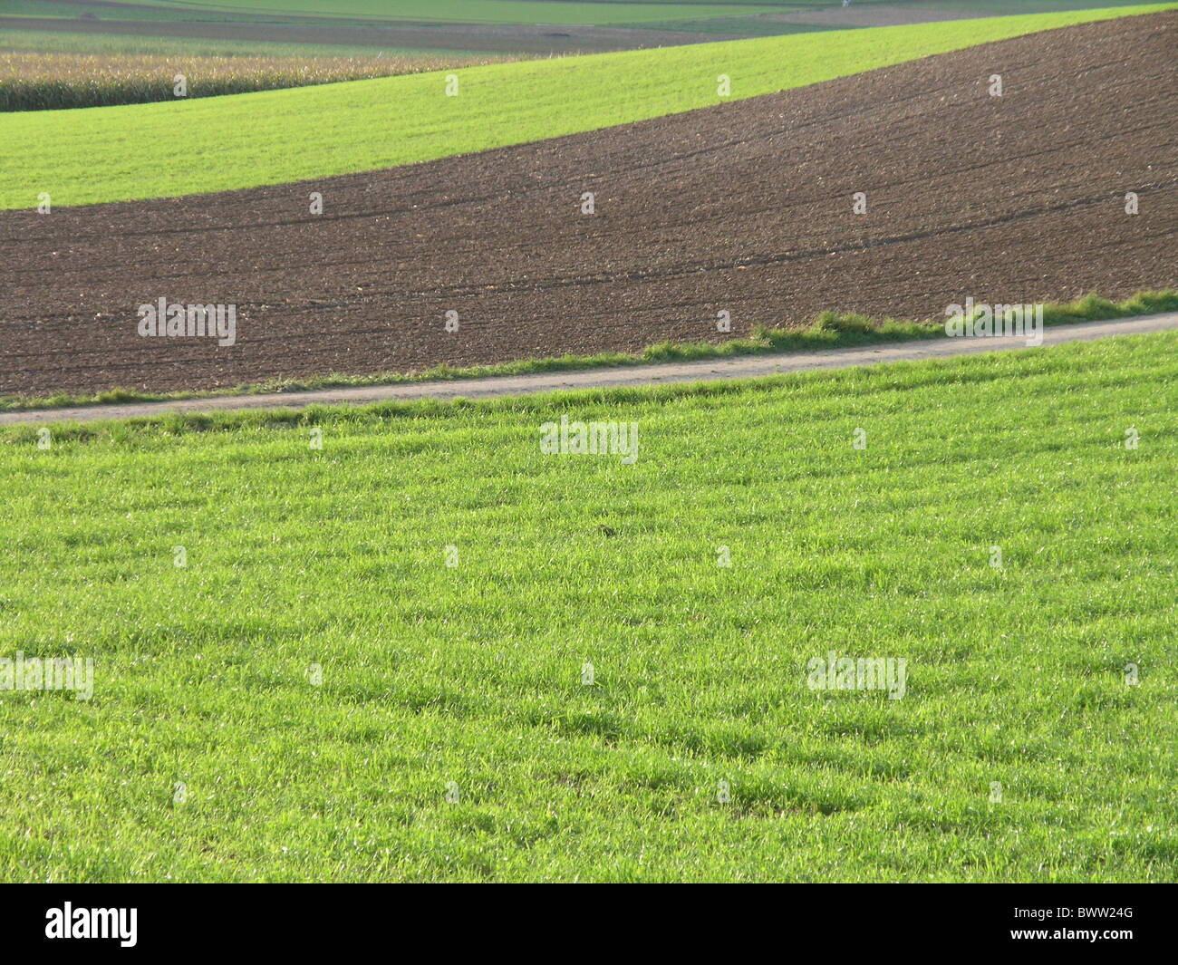 Switzerland Europe Canton Zurich agriculture farming rural green meadow ...