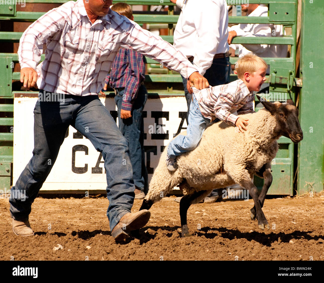 Boy riding on sheep during hi-res stock photography and images - Alamy
