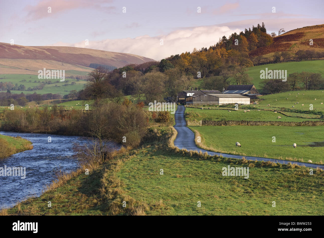 View of rural landscape with river, farm buildings and track, River ...
