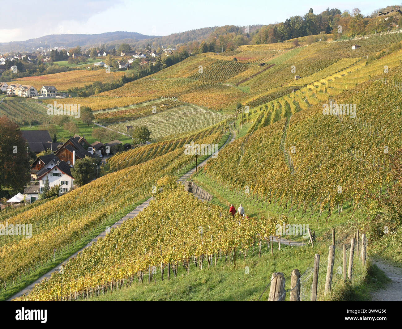 10847075 hi-res stock photography and images - Alamy