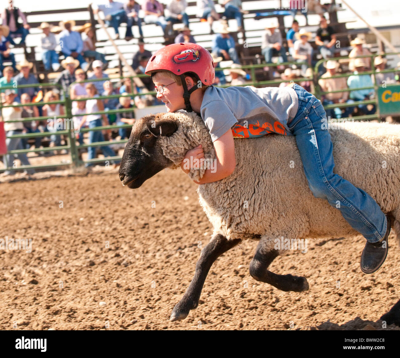 Kids Riding Sheep Stock Photos & Kids Riding Sheep Stock Images - Alamy