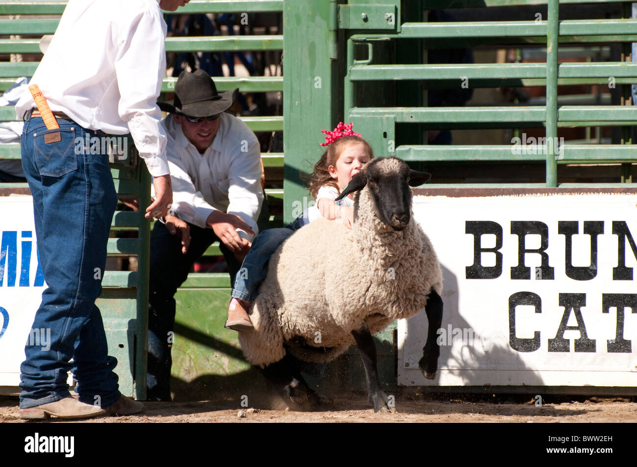 Rodeo mutton bustin hi-res stock photography and images - Alamy
