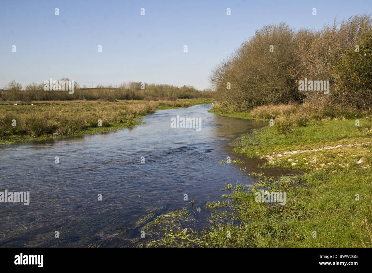 aquatic british britain country countryside england english europe ...