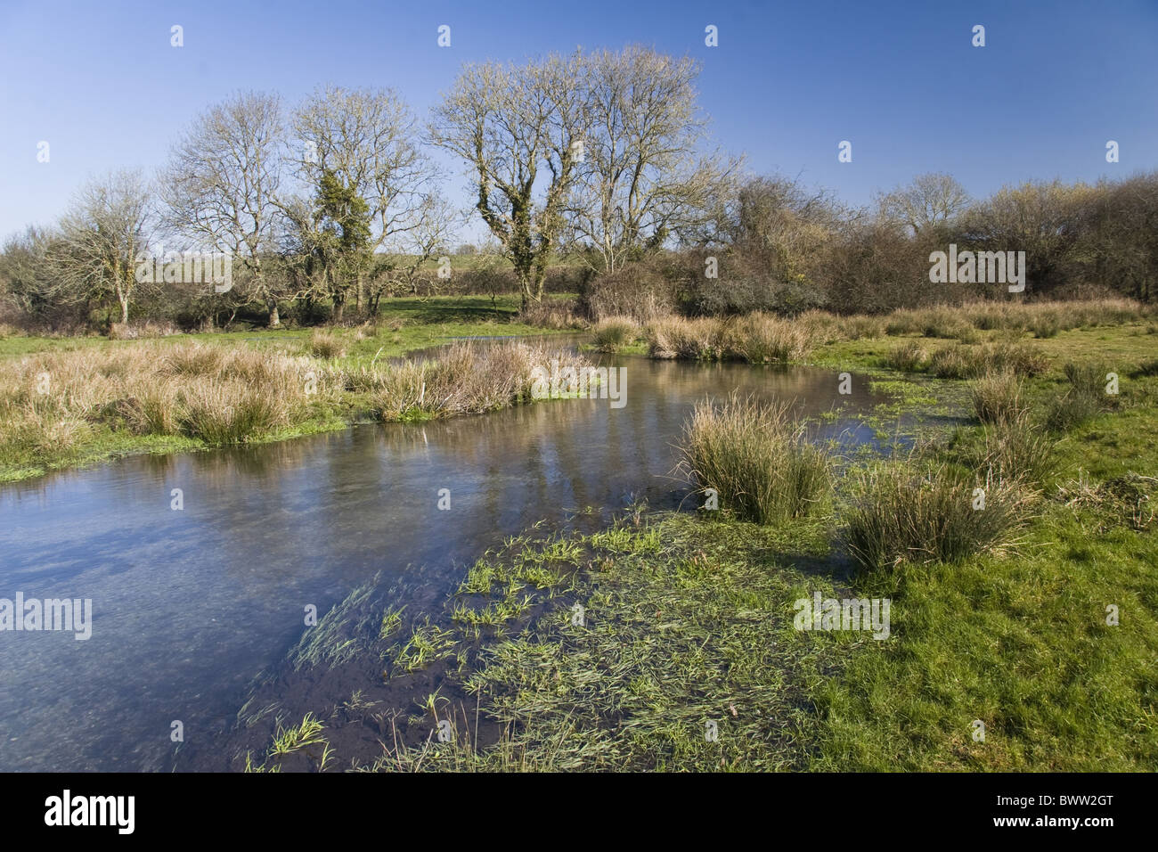 aquatic british britain country countryside england english europe ...