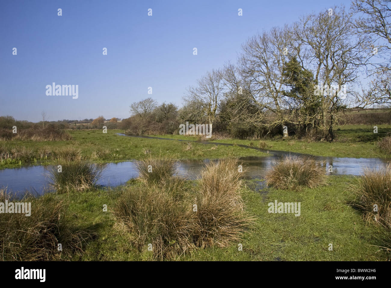aquatic british britain country countryside england english europe ...