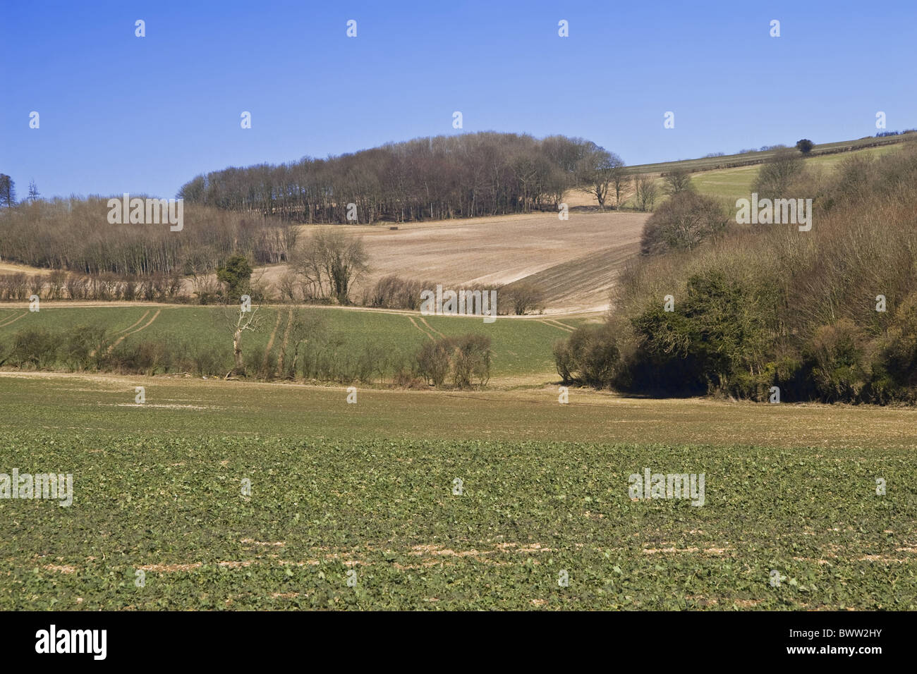 arable britain british country countryside cultivate cultivated england ...