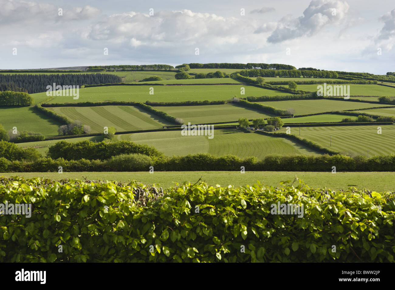 Wheddon cross hi-res stock photography and images - Alamy