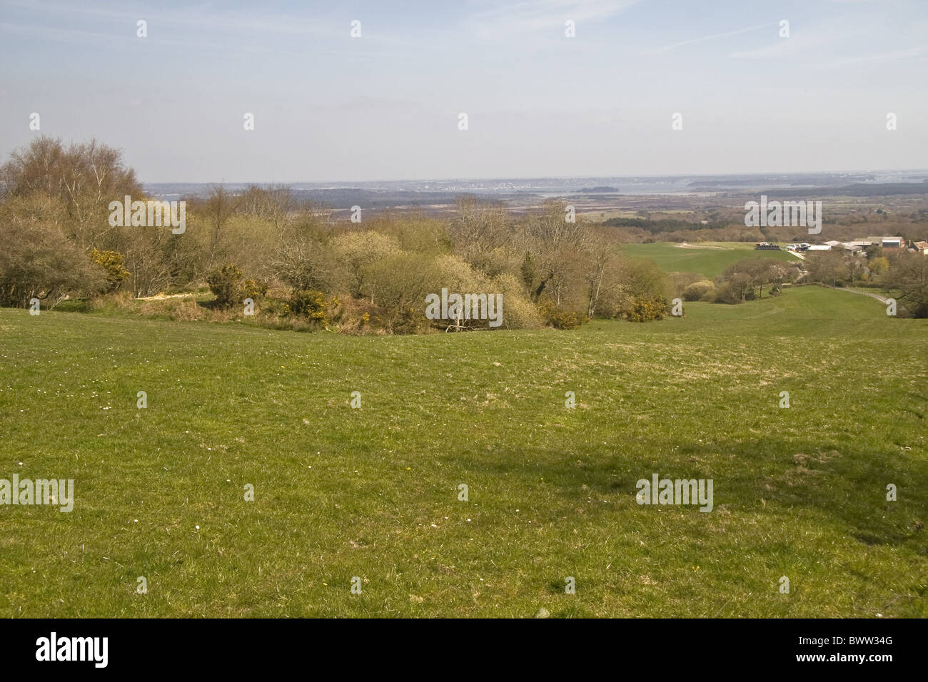 britain british england english europe european dorset habitat habitats ...