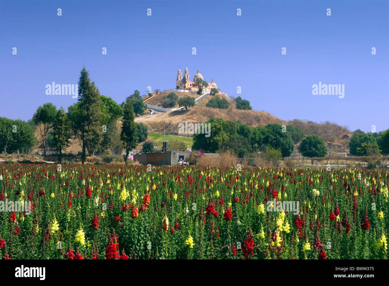 Mexico Central America America Puebla State Cholula city Santa Maria de ...