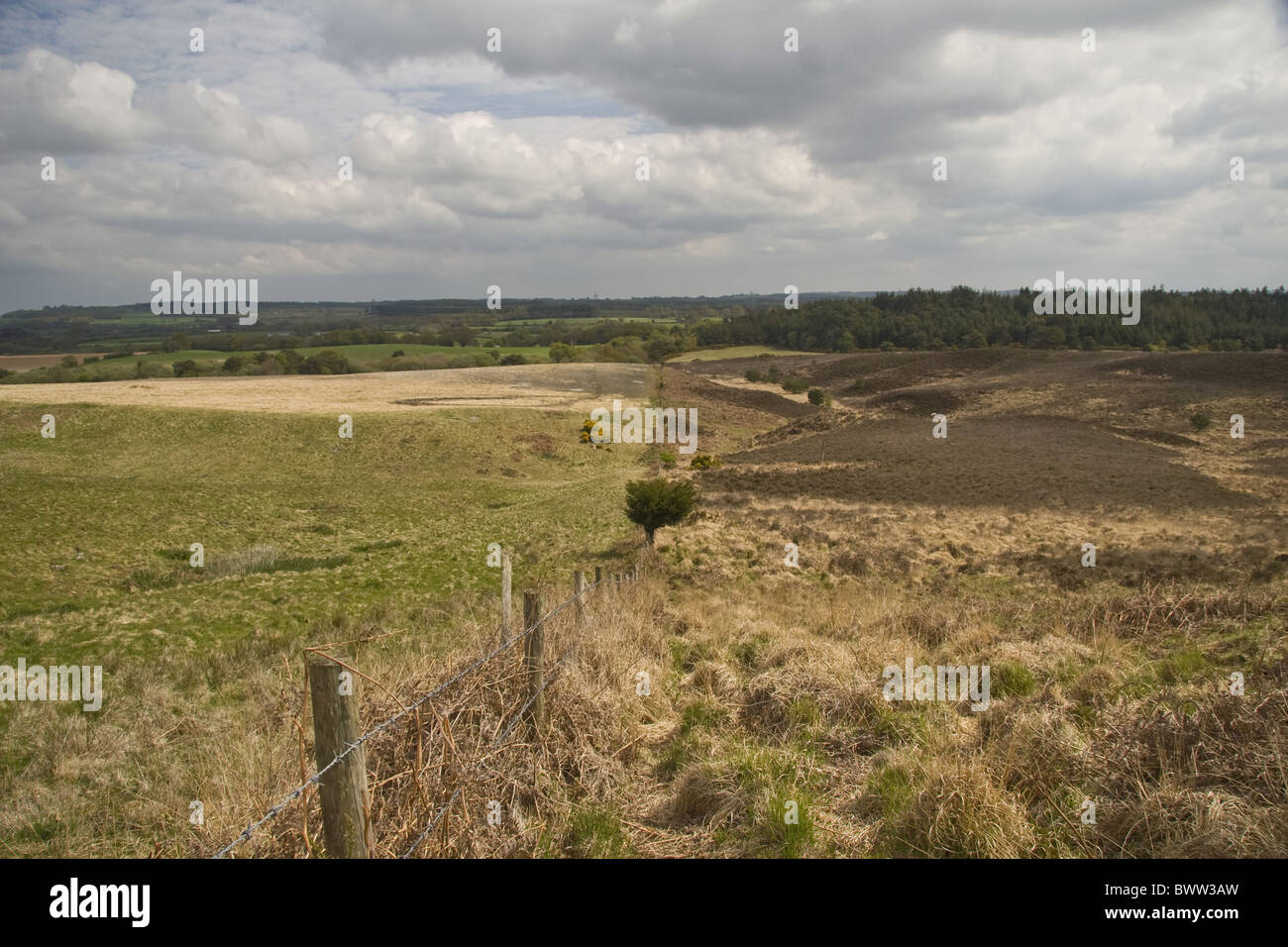 britain british england english europe european habitat habitats ...