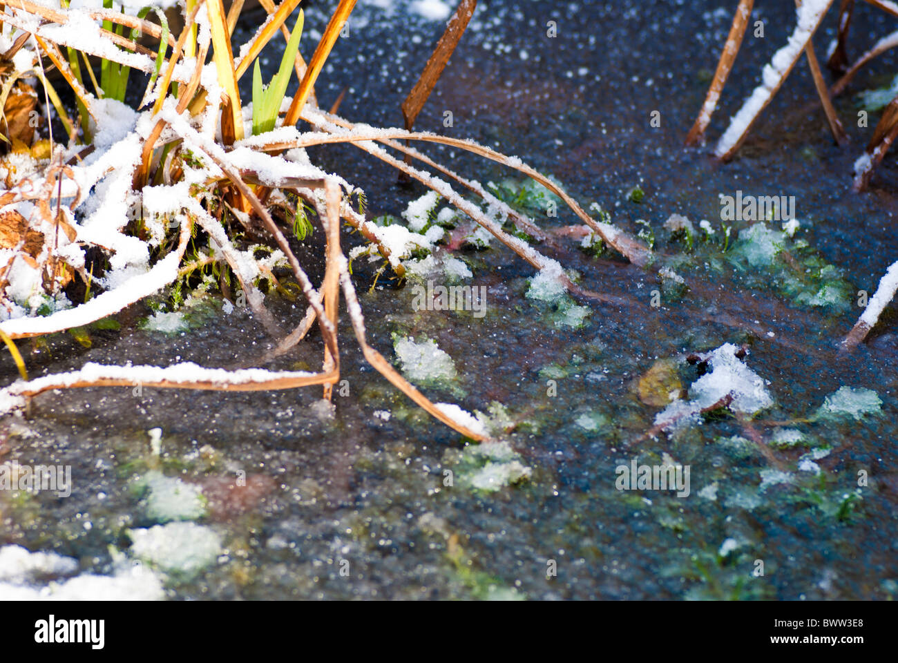 Iced over pond hi-res stock photography and images - Alamy