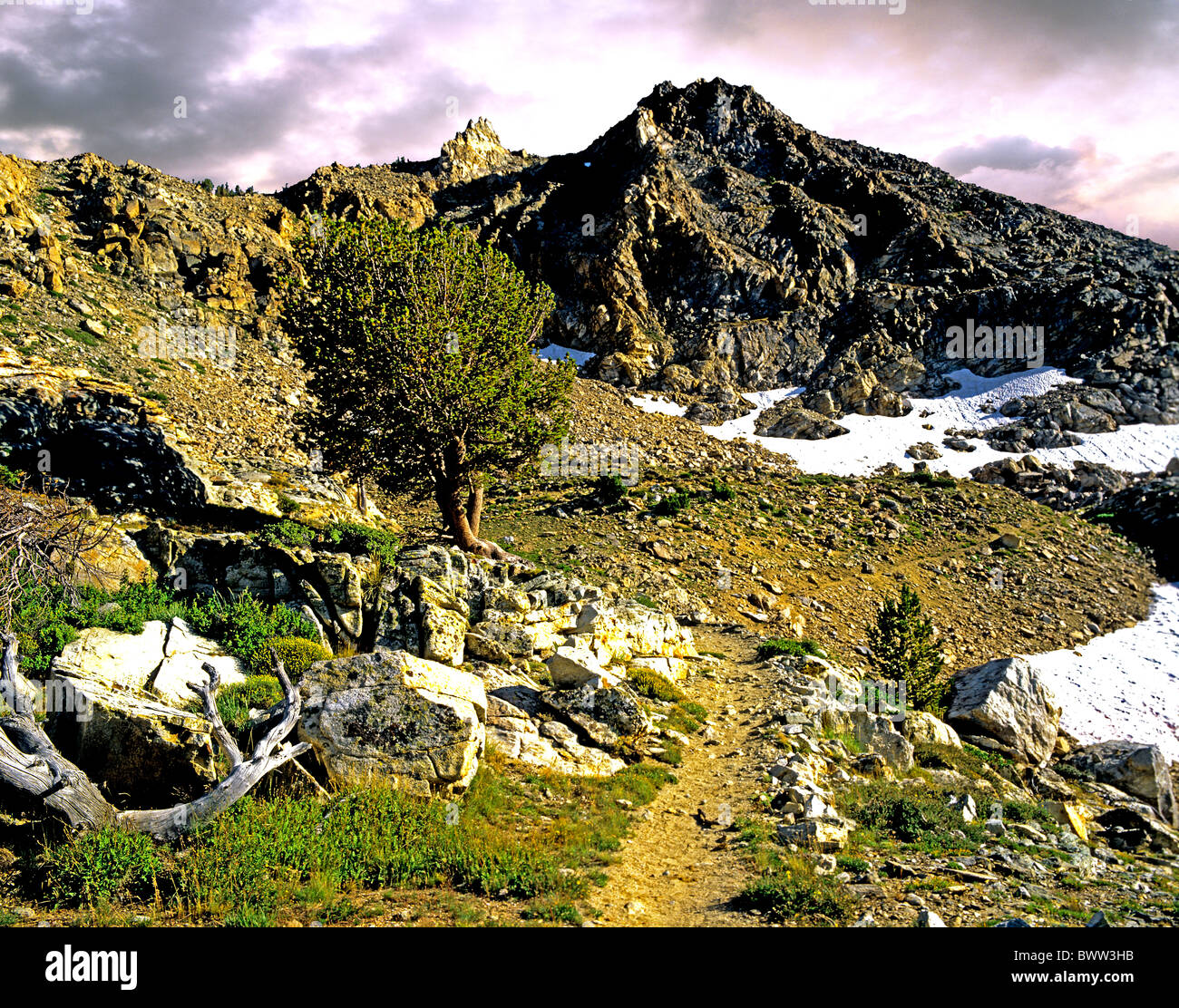 Ruby mountain nevada hi-res stock photography and images - Alamy