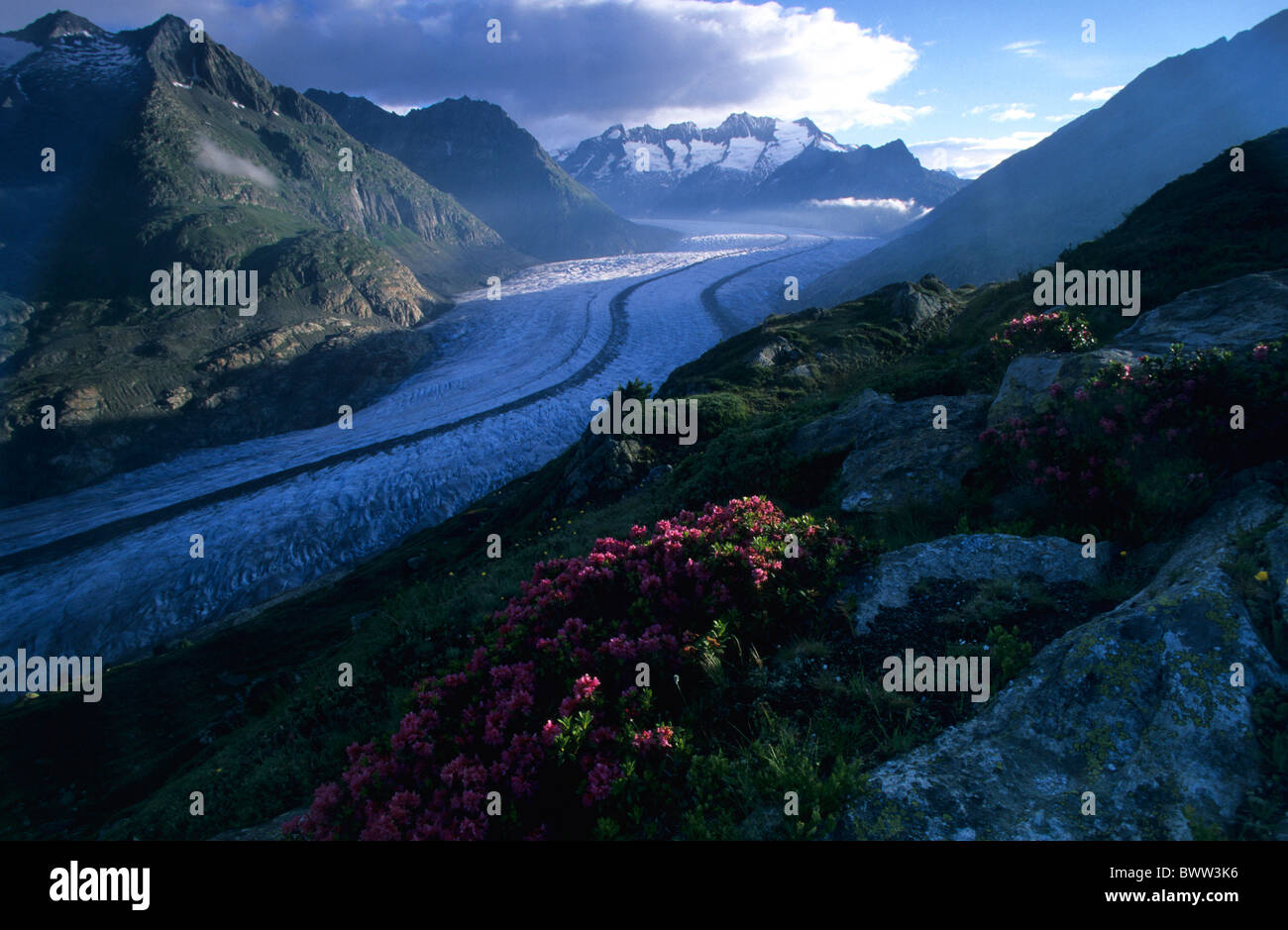 Switzerland Europe Aletsch glacier Canton Valais Aletsch area Alpine ...