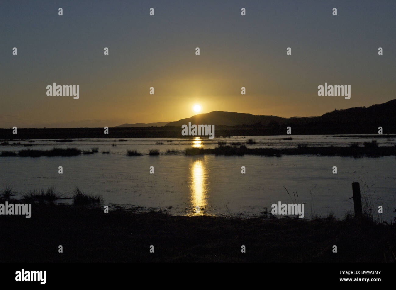 Mersehead rspb reserve hi-res stock photography and images - Alamy