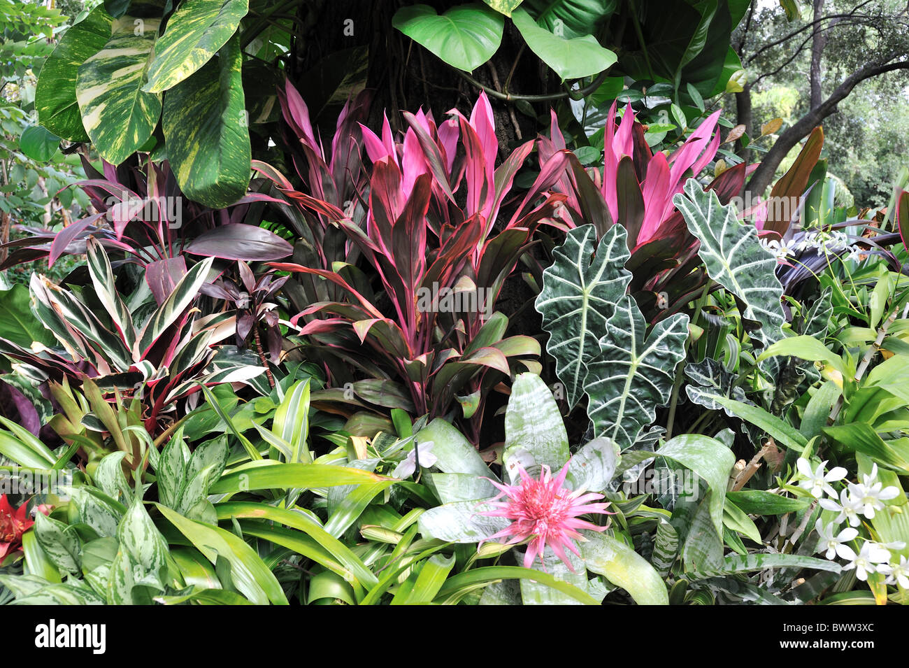 Fauna flora and fauna hi-res stock photography and images - Alamy