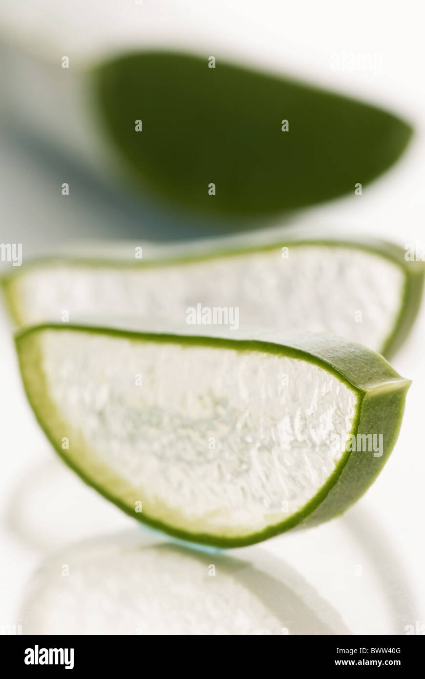 Aloe leaves with cut aloe slice as closeup on white background Stock ...