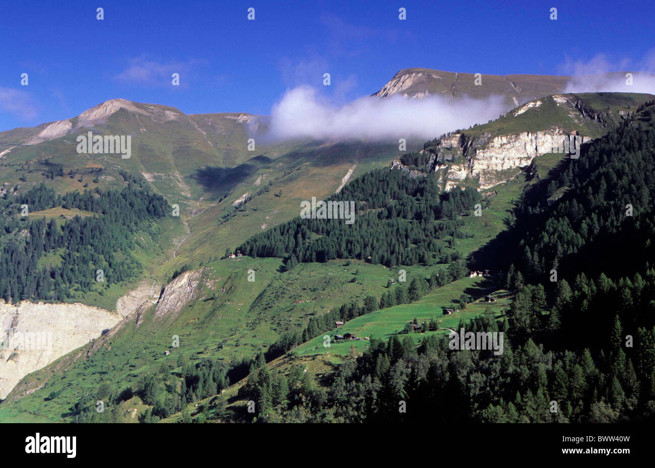 Binn wood hi-res stock photography and images - Alamy