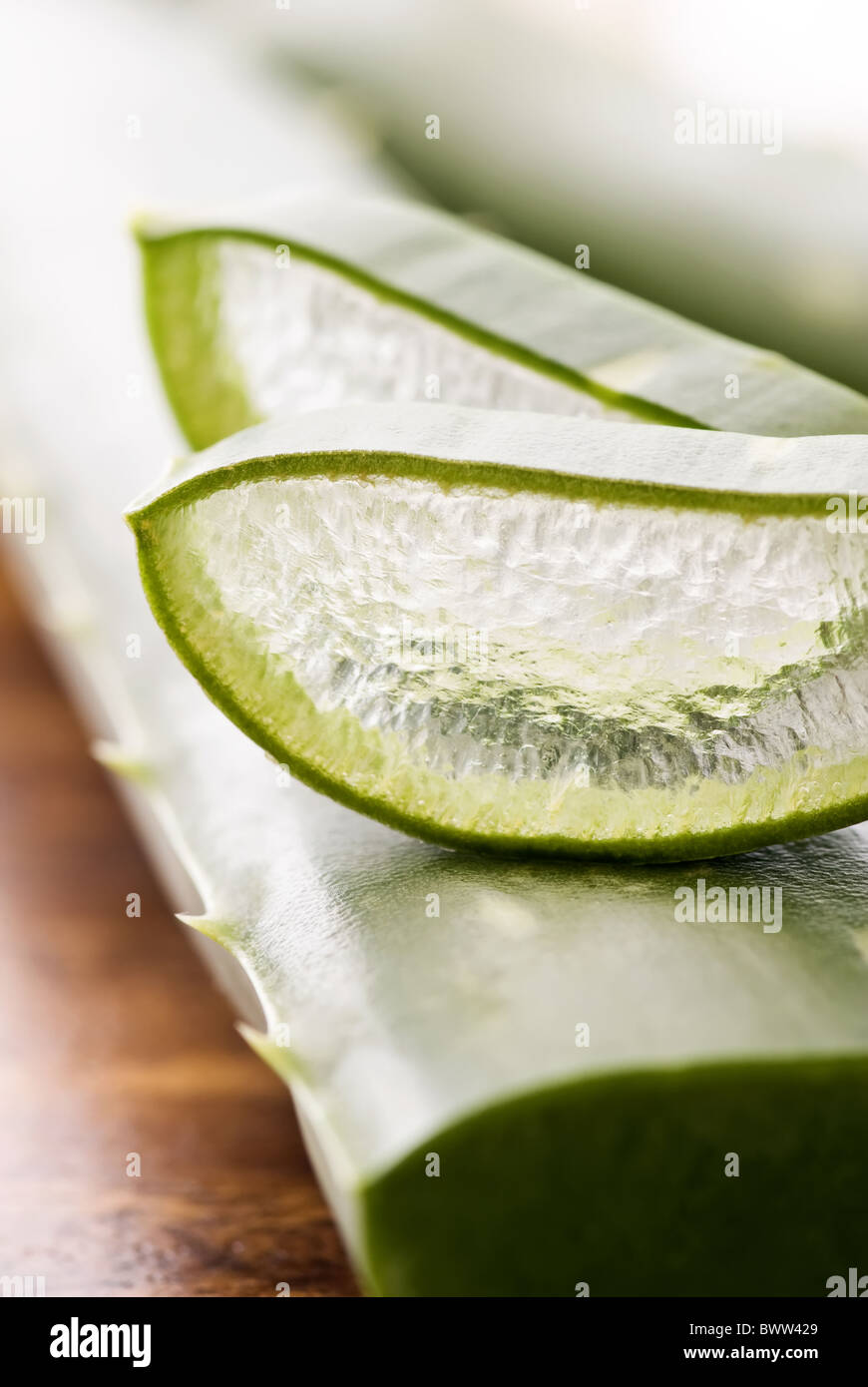 Aloe leaves with cut aloe slice as closeup on white background Stock ...