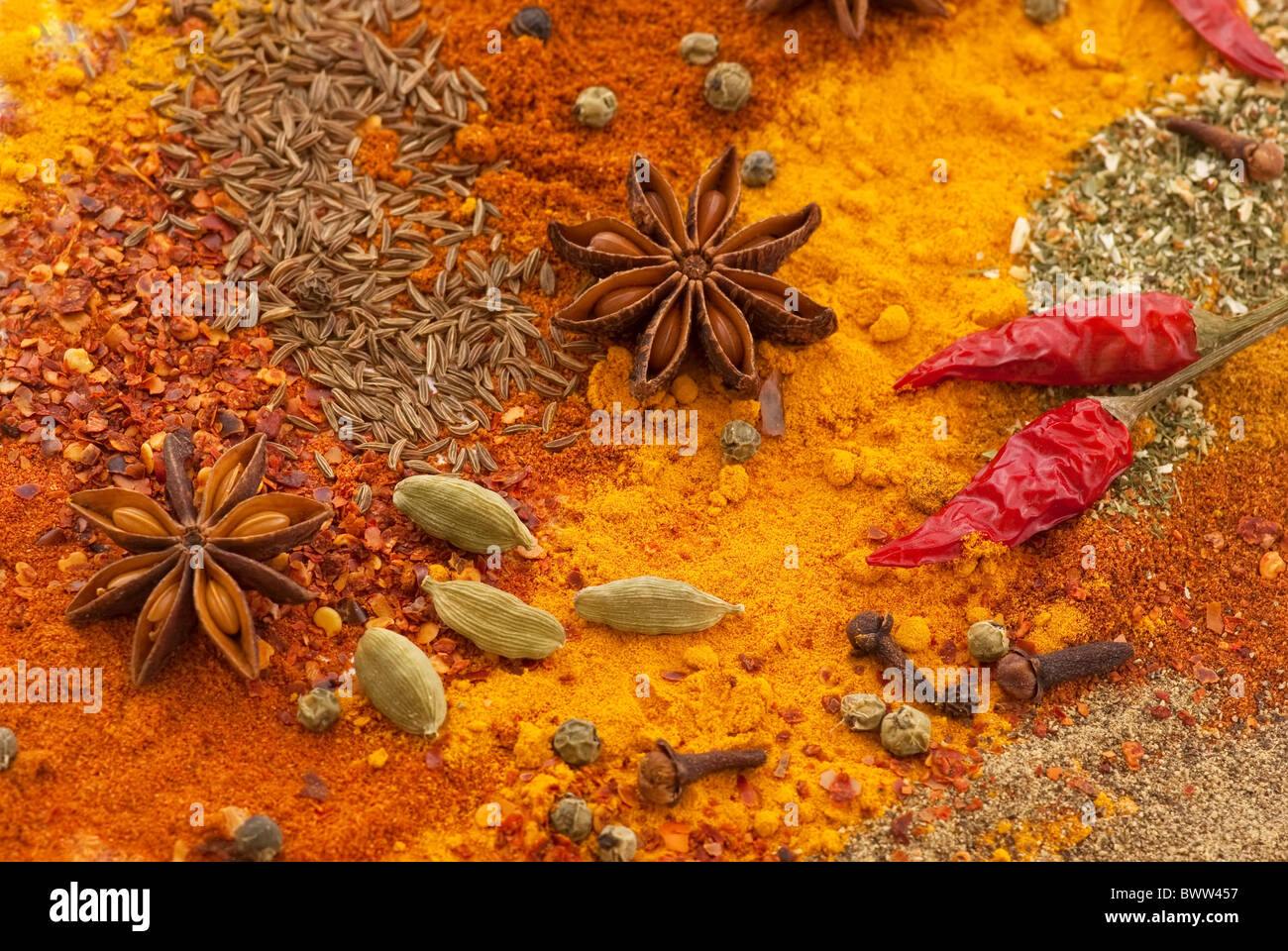 Exotically colorful spice mix with different power and grain as closeup ...