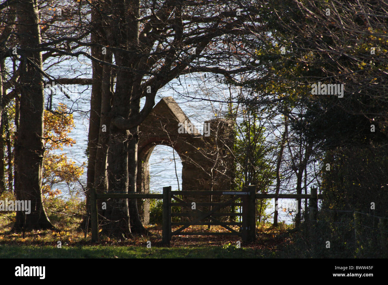 tree trunks and ruin on the edge of an estuary Stock Photo - Alamy