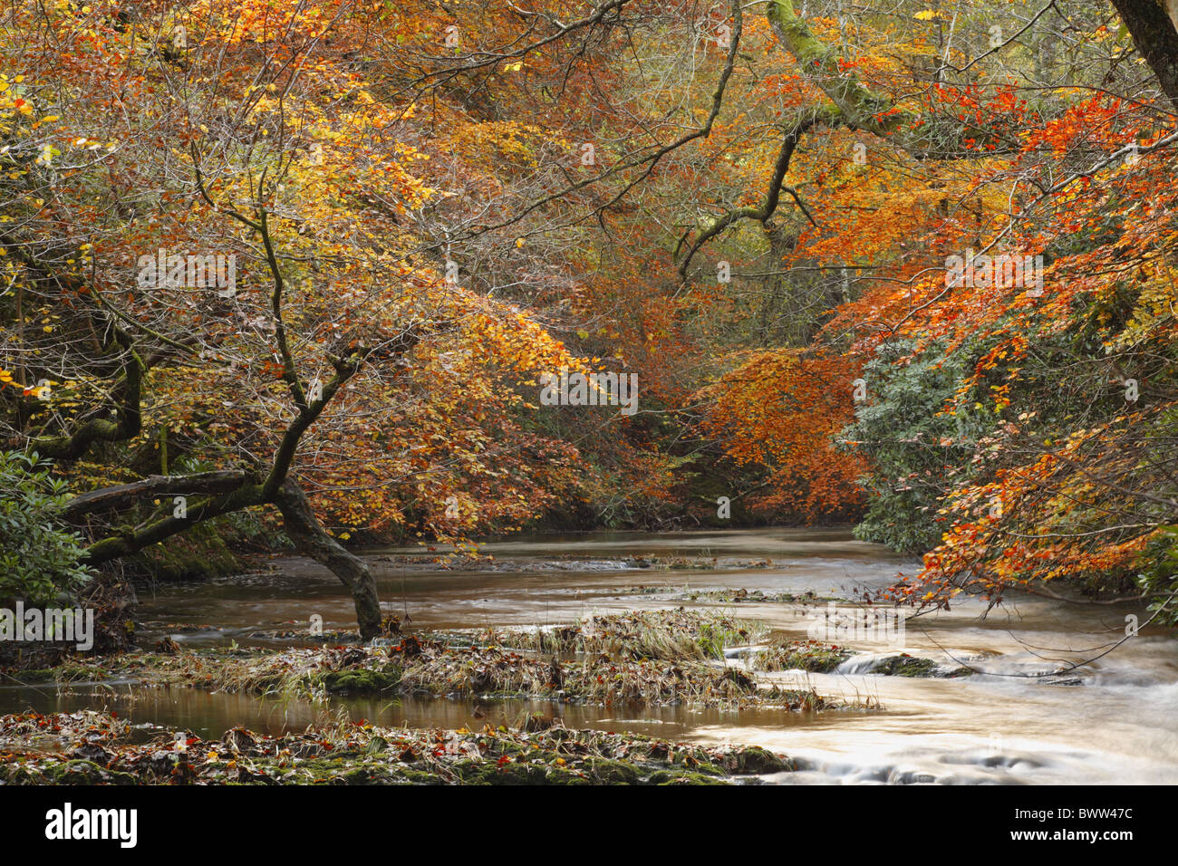 environment environmental powys wales britain british nature natural ...