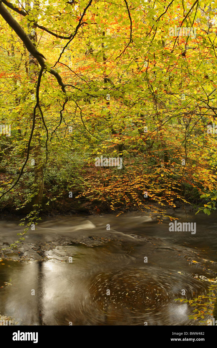 environment environmental powys wales britain british nature natural ...