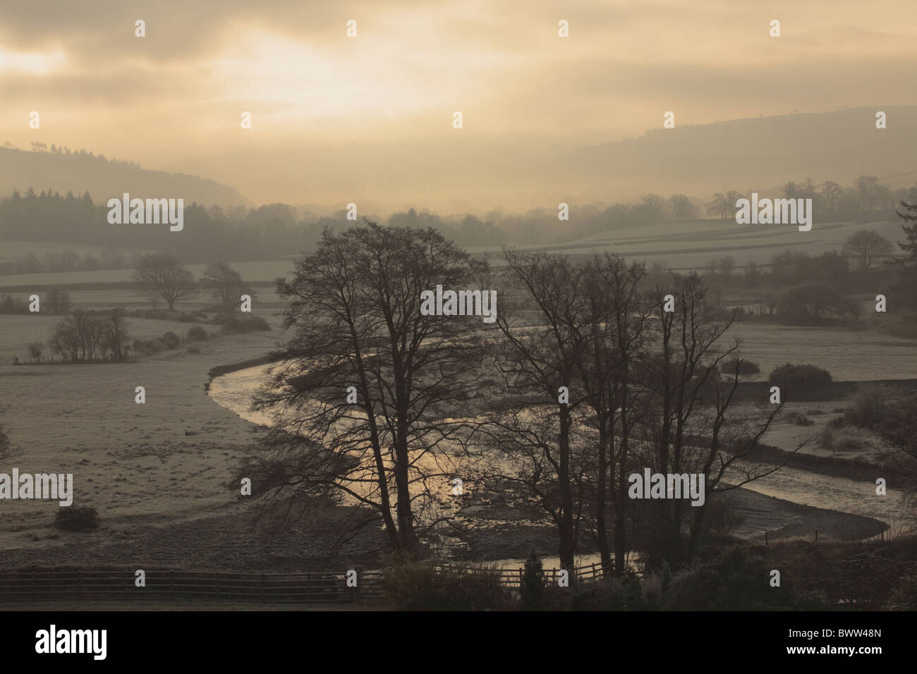 nature natural environment environmental europe european powys wales ...