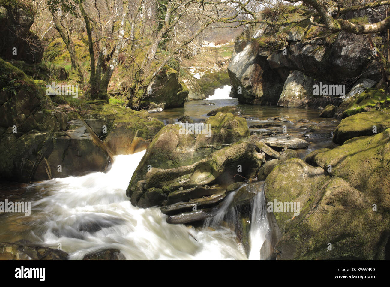 nature natural wild wildlife environment environmental green europe ...