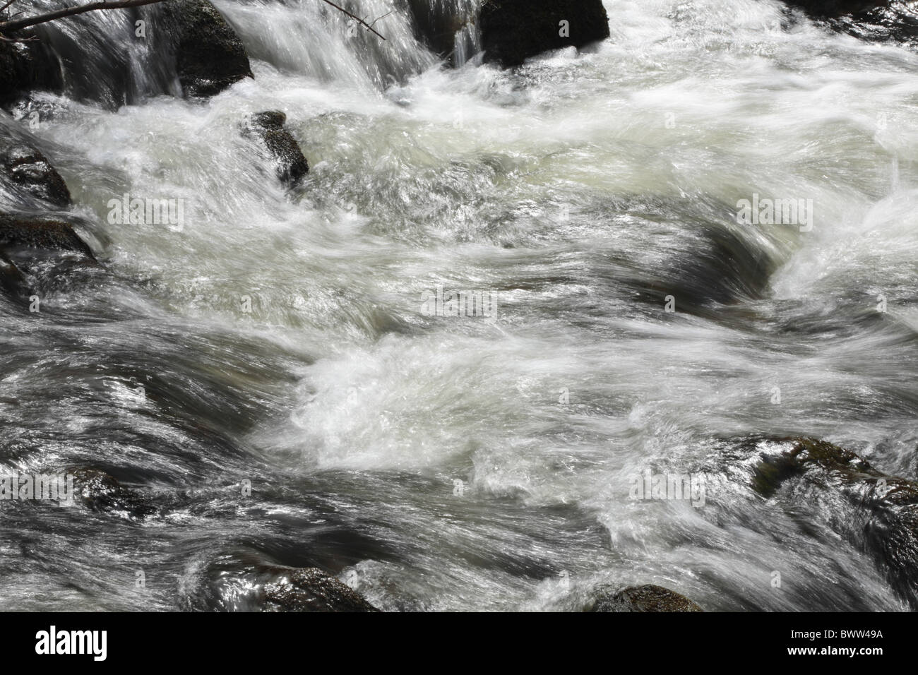 nature natural wild wildlife environment environmental green europe ...