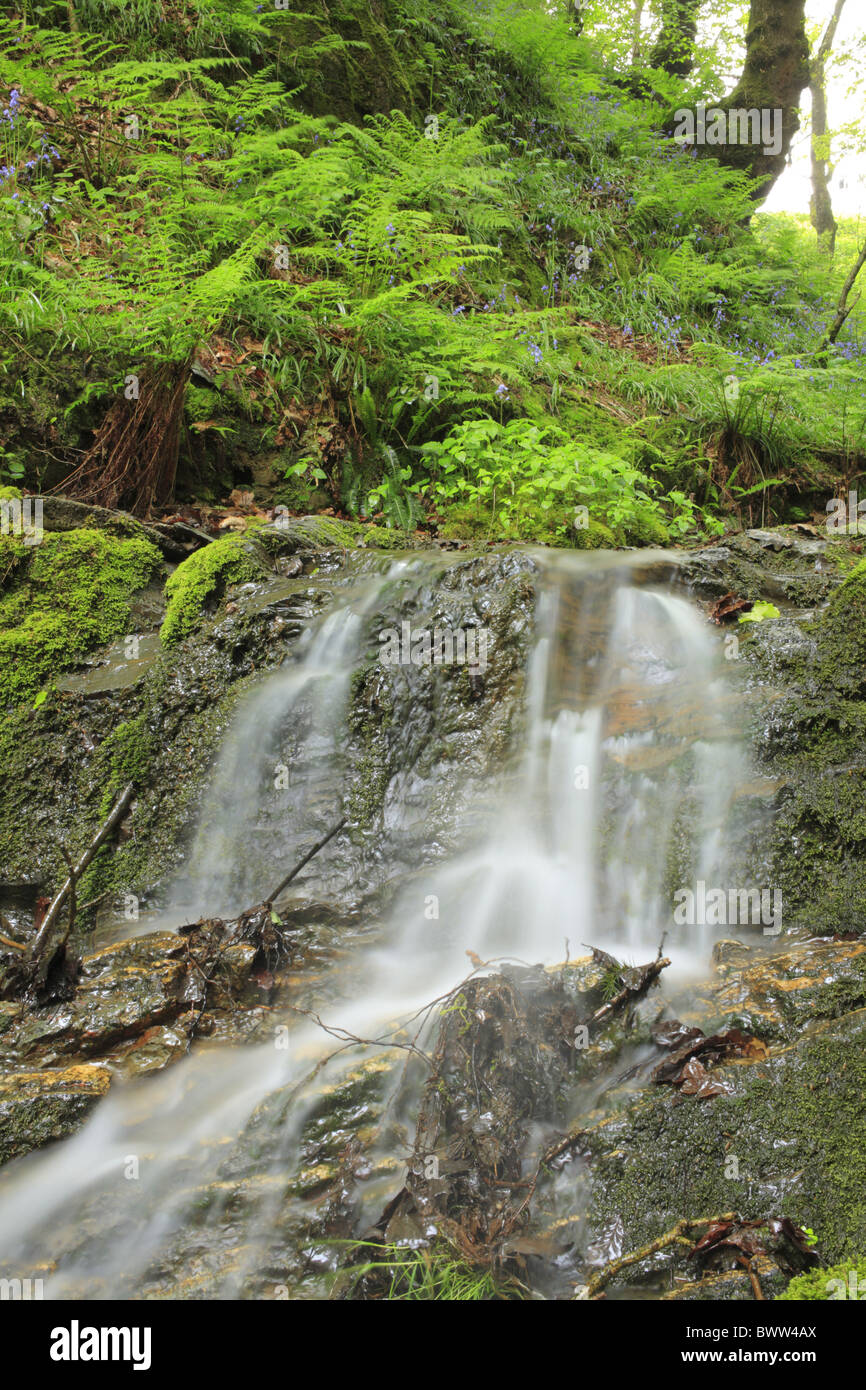 nature natural wild wildlife environment environmental green greenery ...