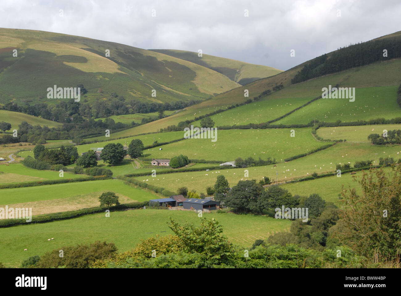 mountains valley wye rhayader mid-wales small farms grassland sheep ...