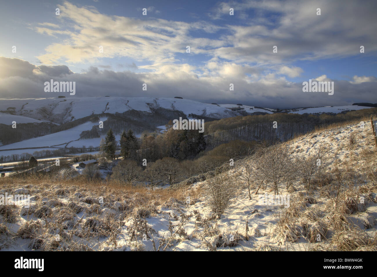 welsh natural wild wildlife environment environmental europe european ...