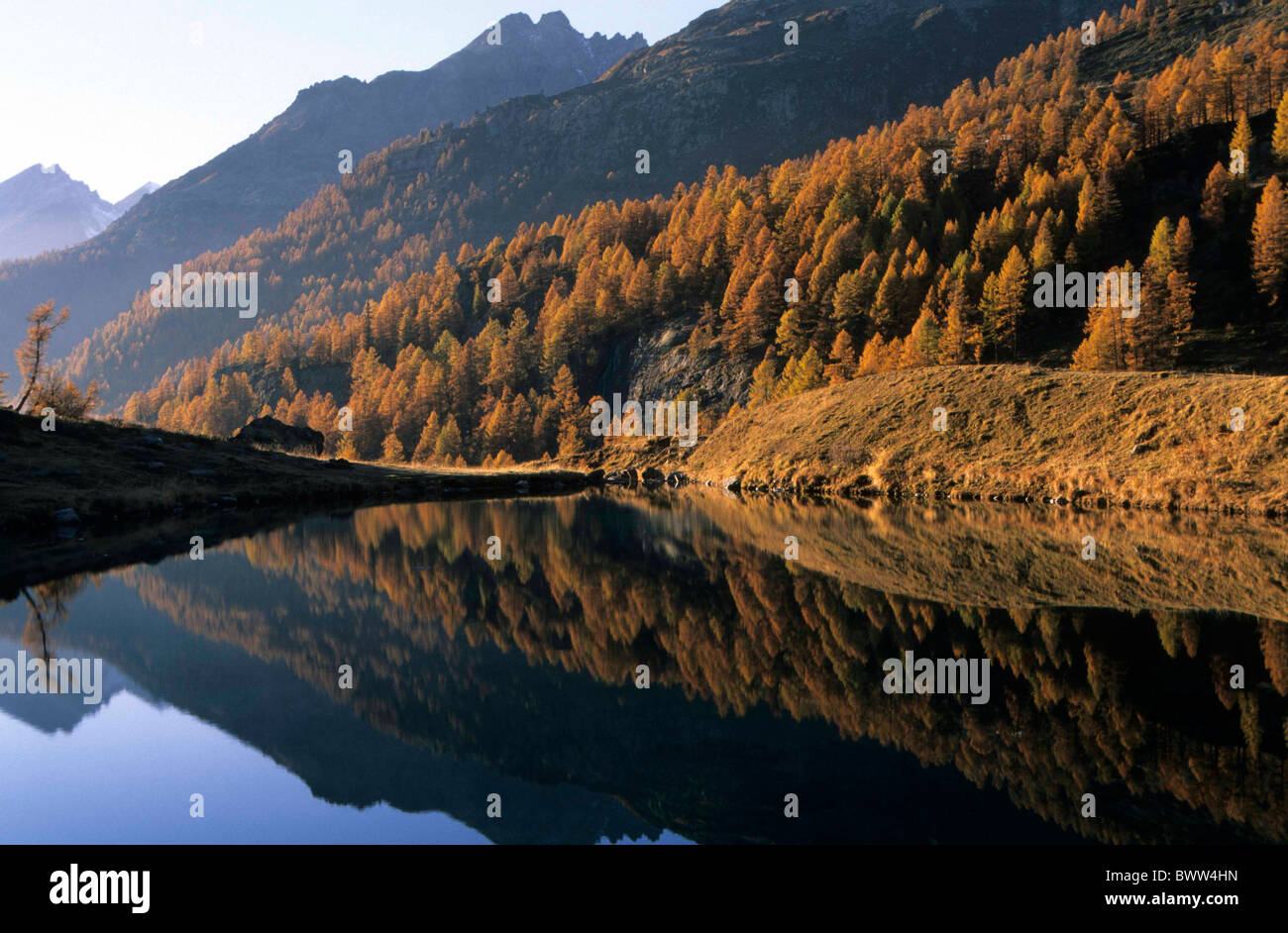 10847615 hi-res stock photography and images - Alamy