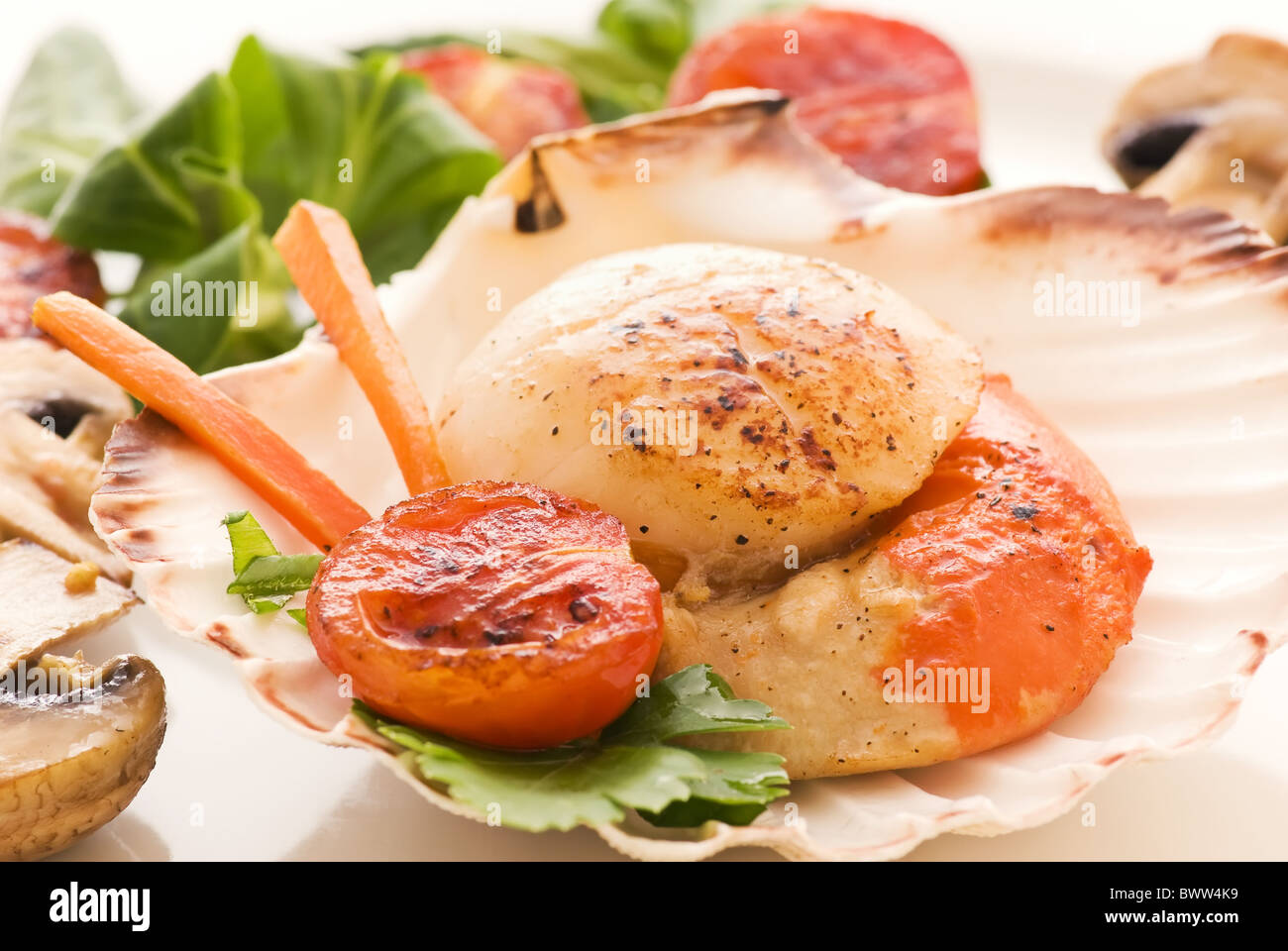 Scallop in shell with vegetable as closeup on a plate Stock Photo - Alamy