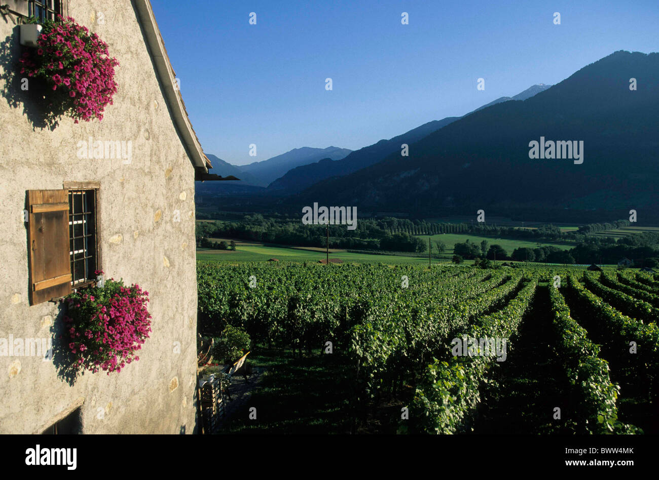 Switzerland Europe Canton Grisons Graubunden Grisons Bundner Herrschaft ...
